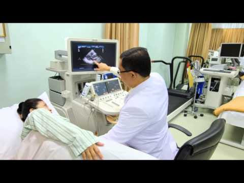 Asuransi Di Rscm Kencana | 19 Asuransi