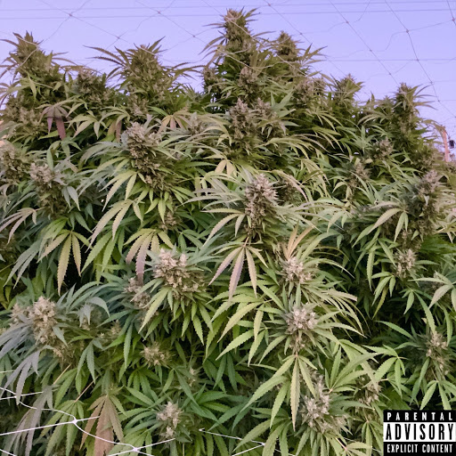 4get - YouTube Music