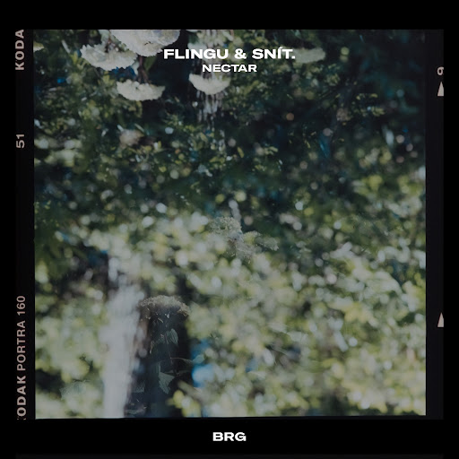 Currency - YouTube Music