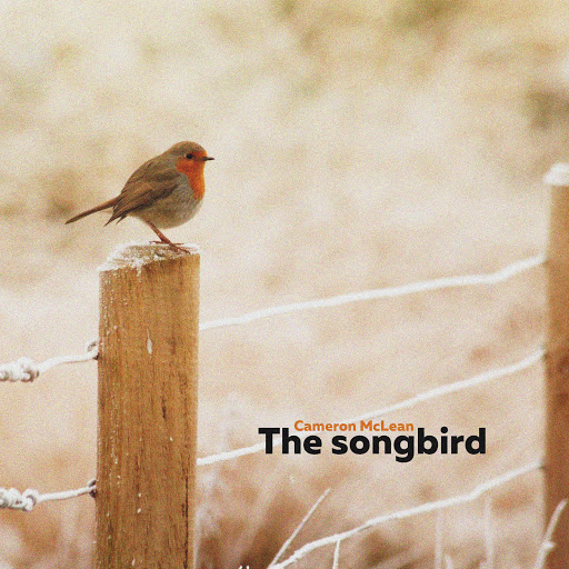 The Songbird - YouTube Music