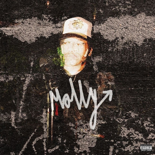 Molly - YouTube Music