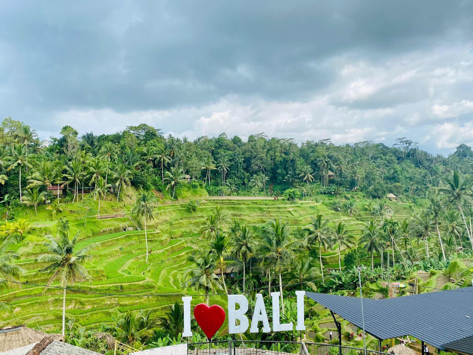 På to hjul i Asia: Kaffe og rismarker