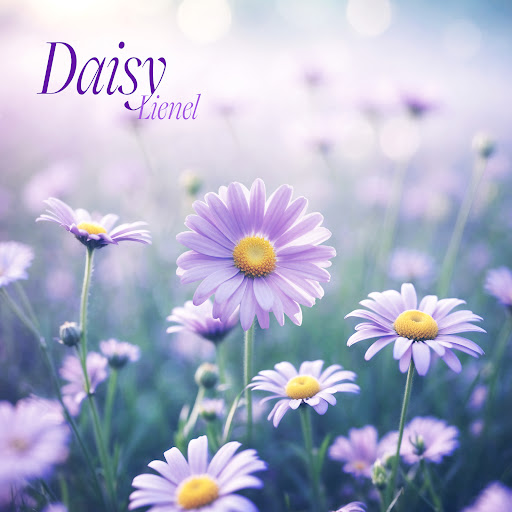 Daisy - YouTube Music