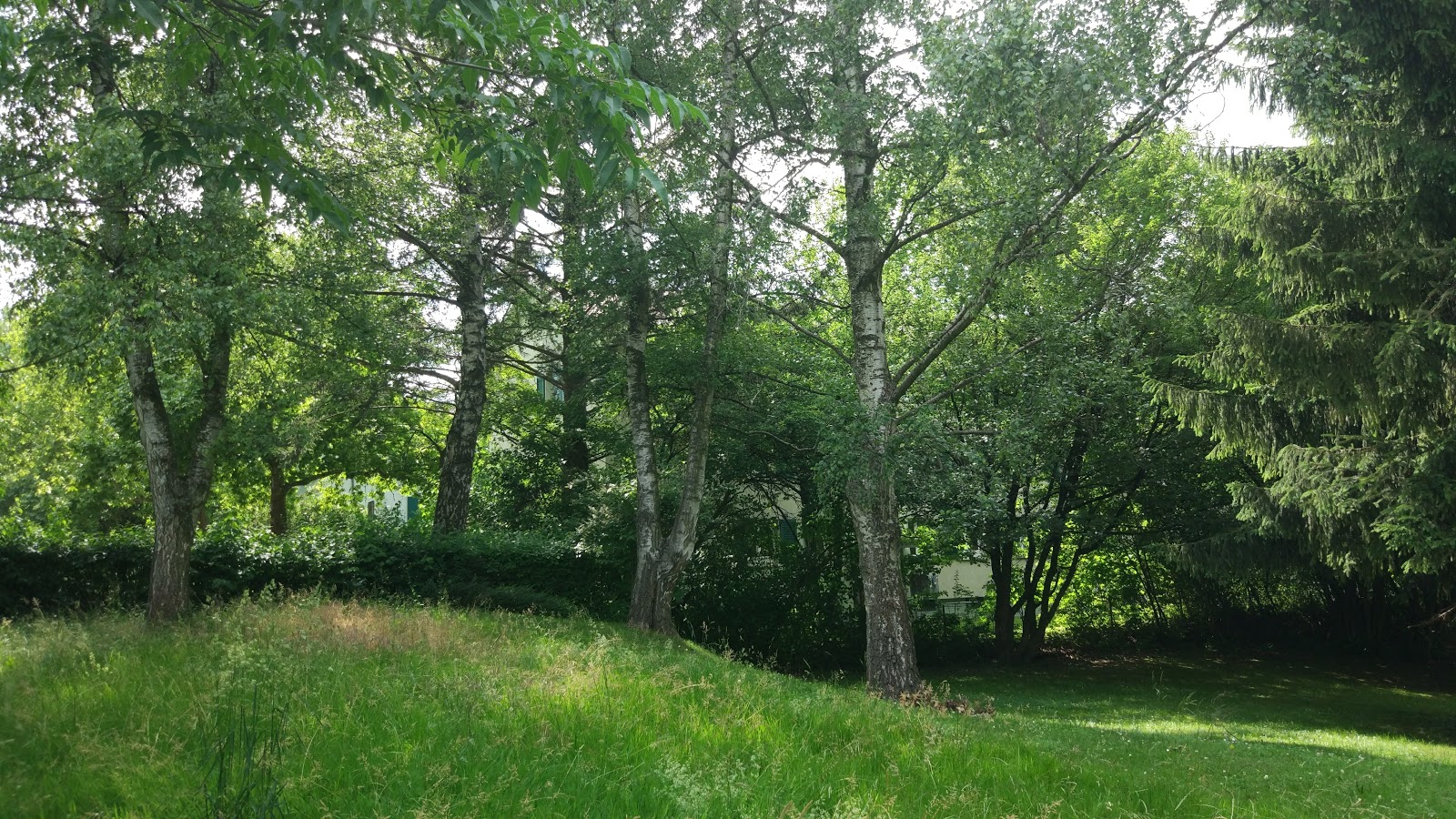 Seniorenzentrum SIKNA Stiftung Zürich in Zürich - Infos & Kontakt ...