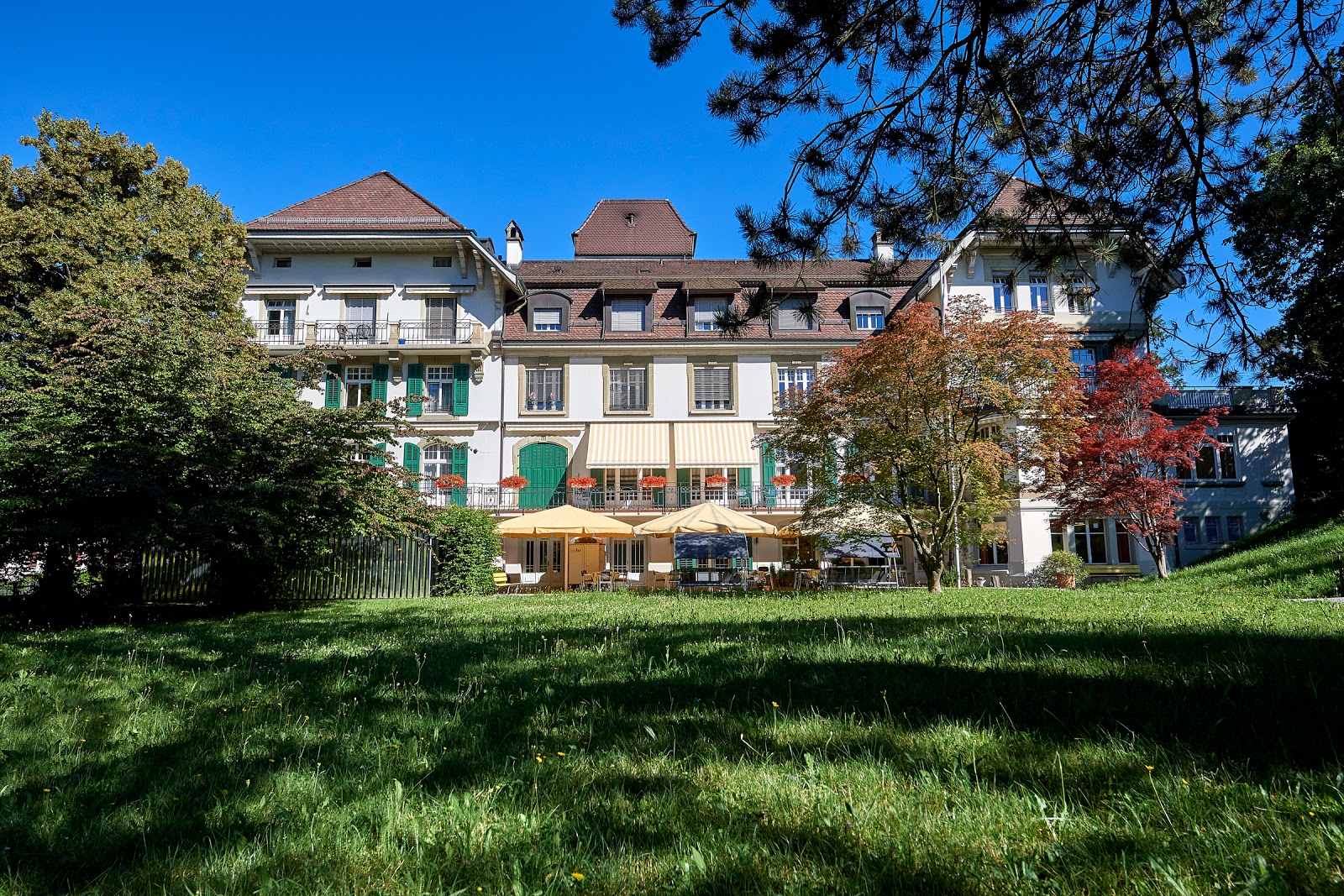 DOMICIL KOMPETENZZENTRUM DEMENZ WILDERMETTPARK in Bern - Infos ...