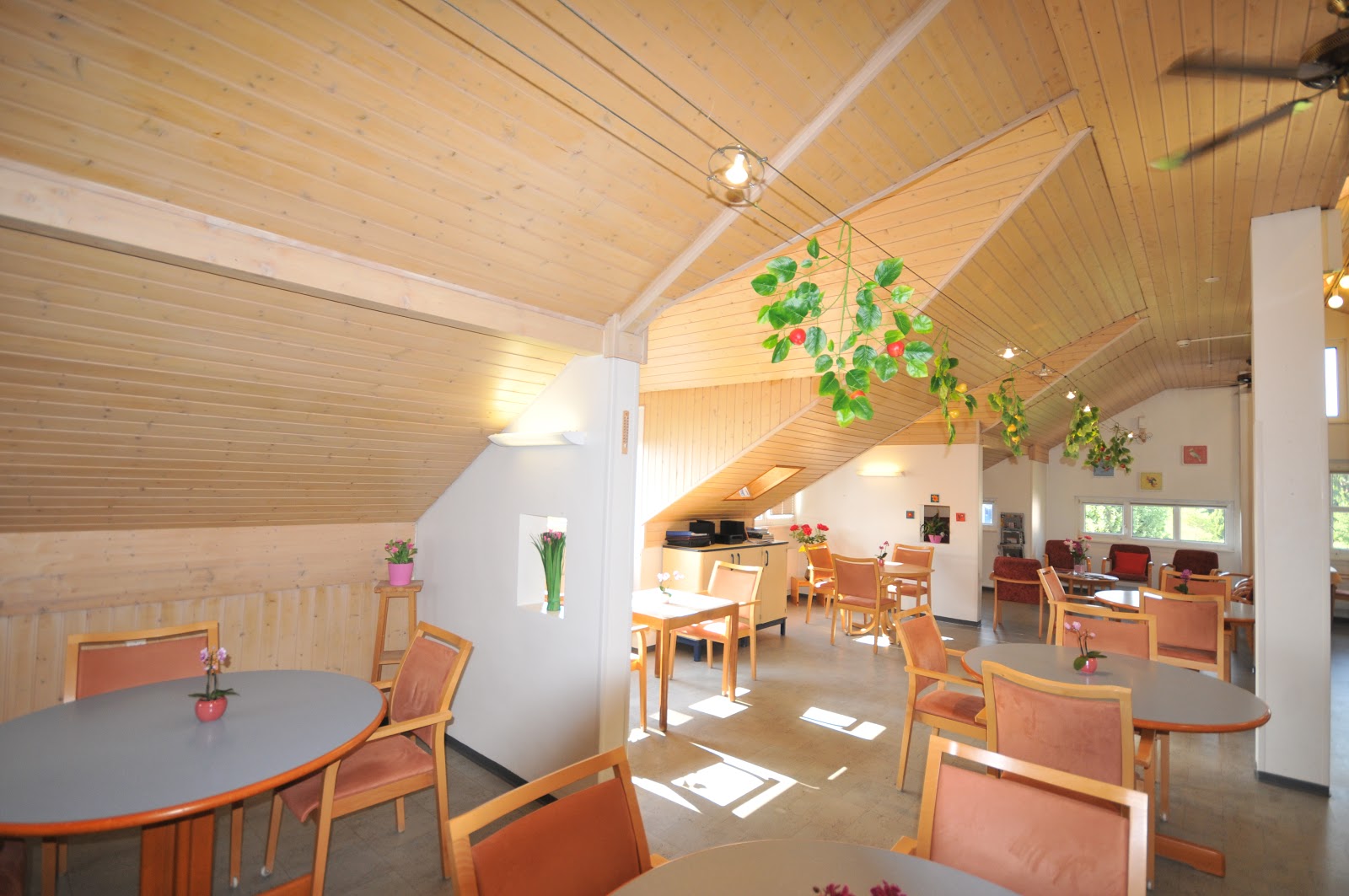 FONDATION LA PRIMEROSE | EMS LA MÉRIDIENNE in Renens - Infos & Kontakt ...