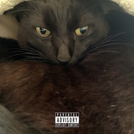 DETOX (feat. 150) - YouTube Music