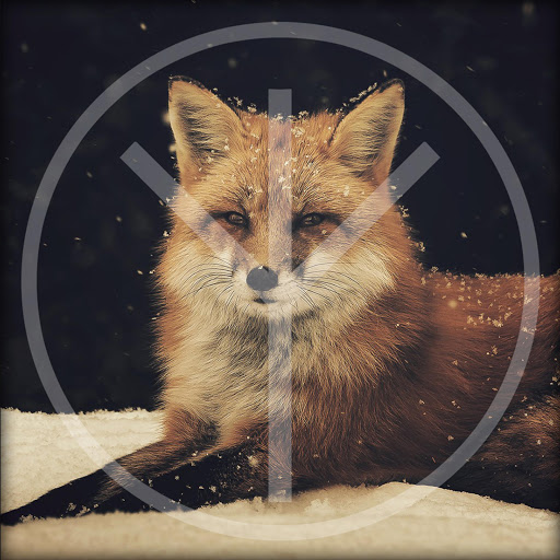 Precious Little Things - YouTube Music