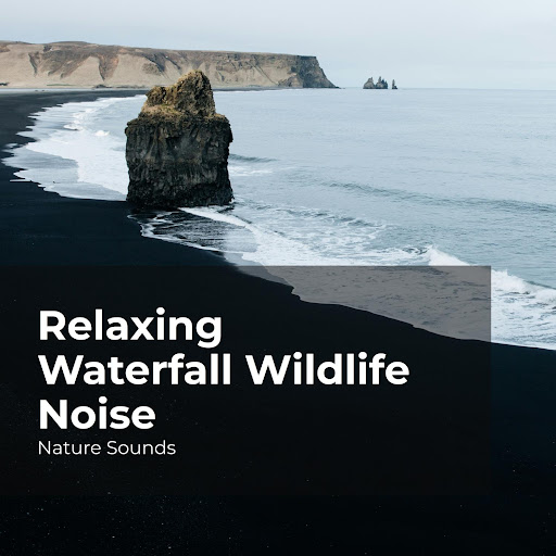 Tidal Waves Stillness - YouTube Music