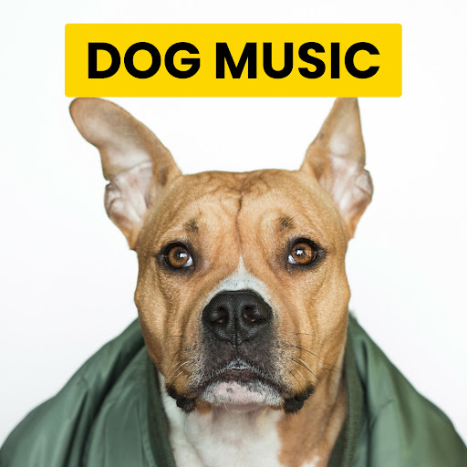 Dog Doo Afternoon - YouTube Music