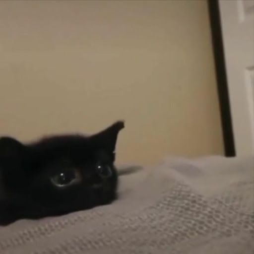 smile music (feat. icemop) - YouTube Music