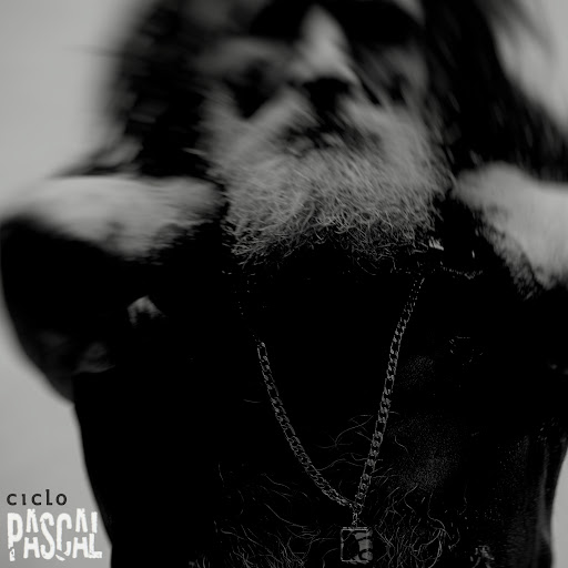 Pascal - YouTube Music