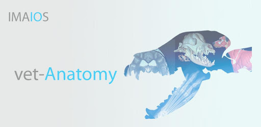 vet-Anatomy Android App