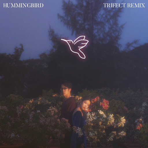 Hummingbird (Trifect Remix) - YouTube Music