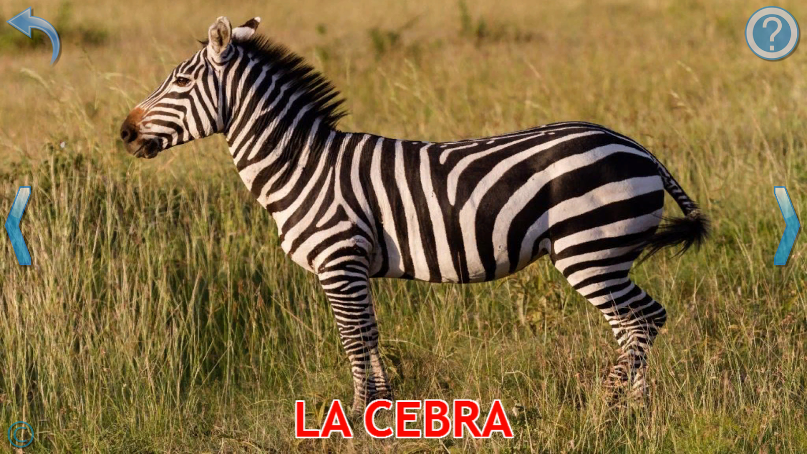 Sonidos de Animales para Niños Juegos Bebes Gratis - Aplicaciones de ...