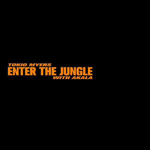Enter the Jungle - YouTube Music