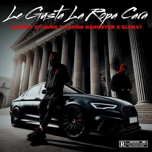 LE GUSTA LA ROPA CARA (feat. YOUNGGANSTER & ¥ EleK-47 ¥) - YouTube Music