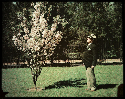 The Frank Lauder Autochrome Collection — Google Arts & Culture