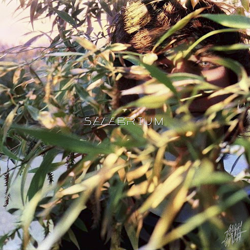 Selebrium - YouTube Music
